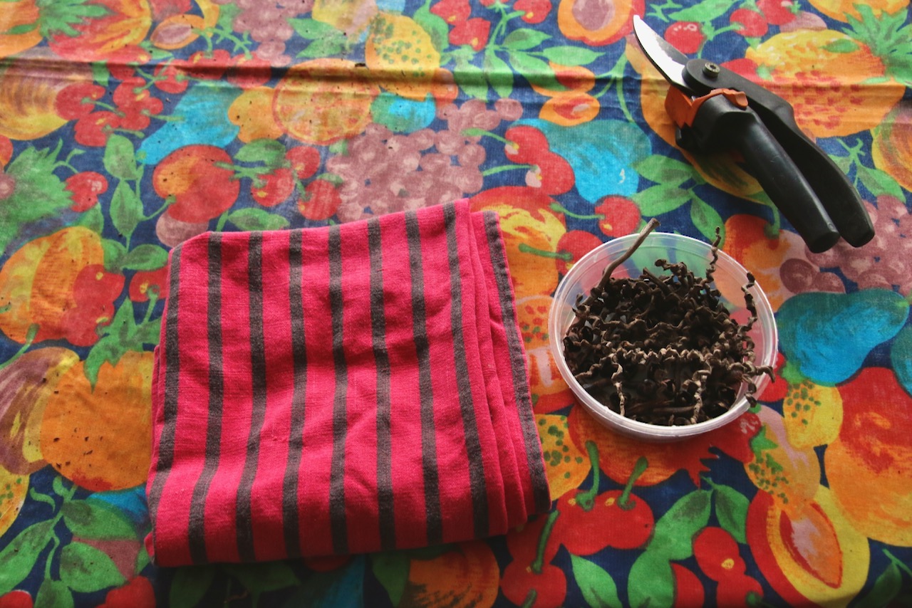 Leftovers | poetography.ink