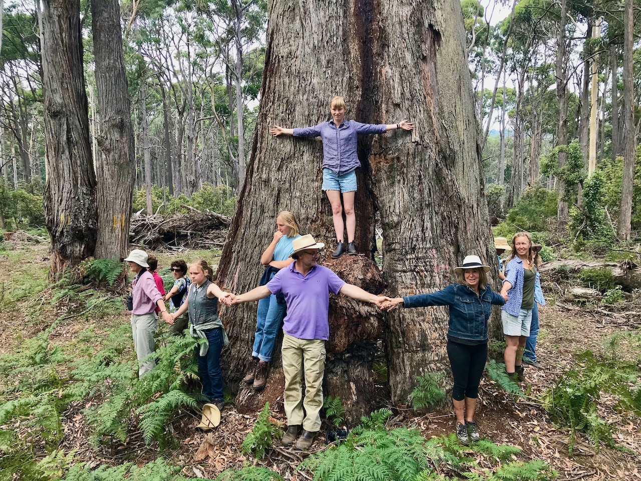 The fight to protect Strathbogie Forest | poetography.ink