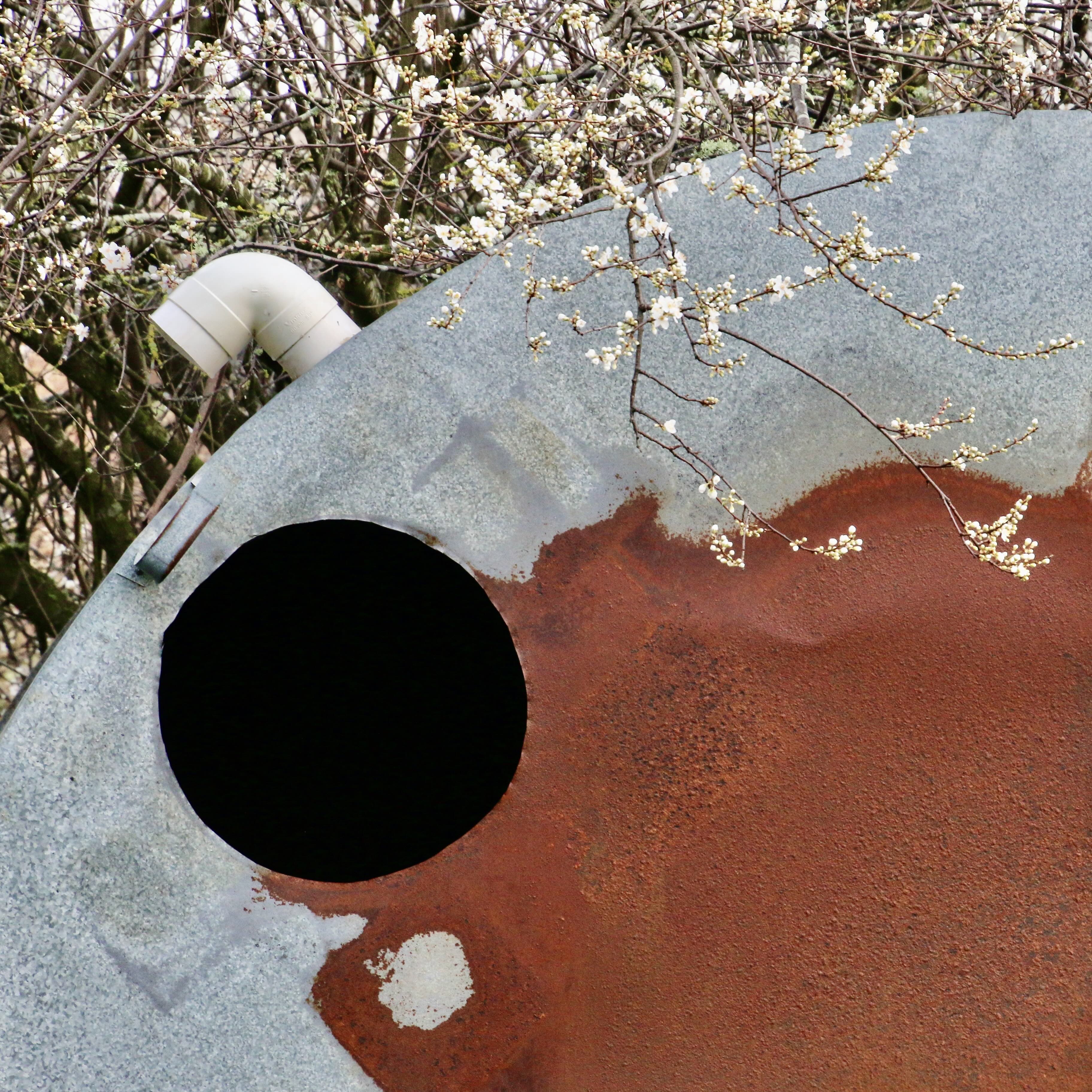 Rust: an ode to climate change | poetography.ink