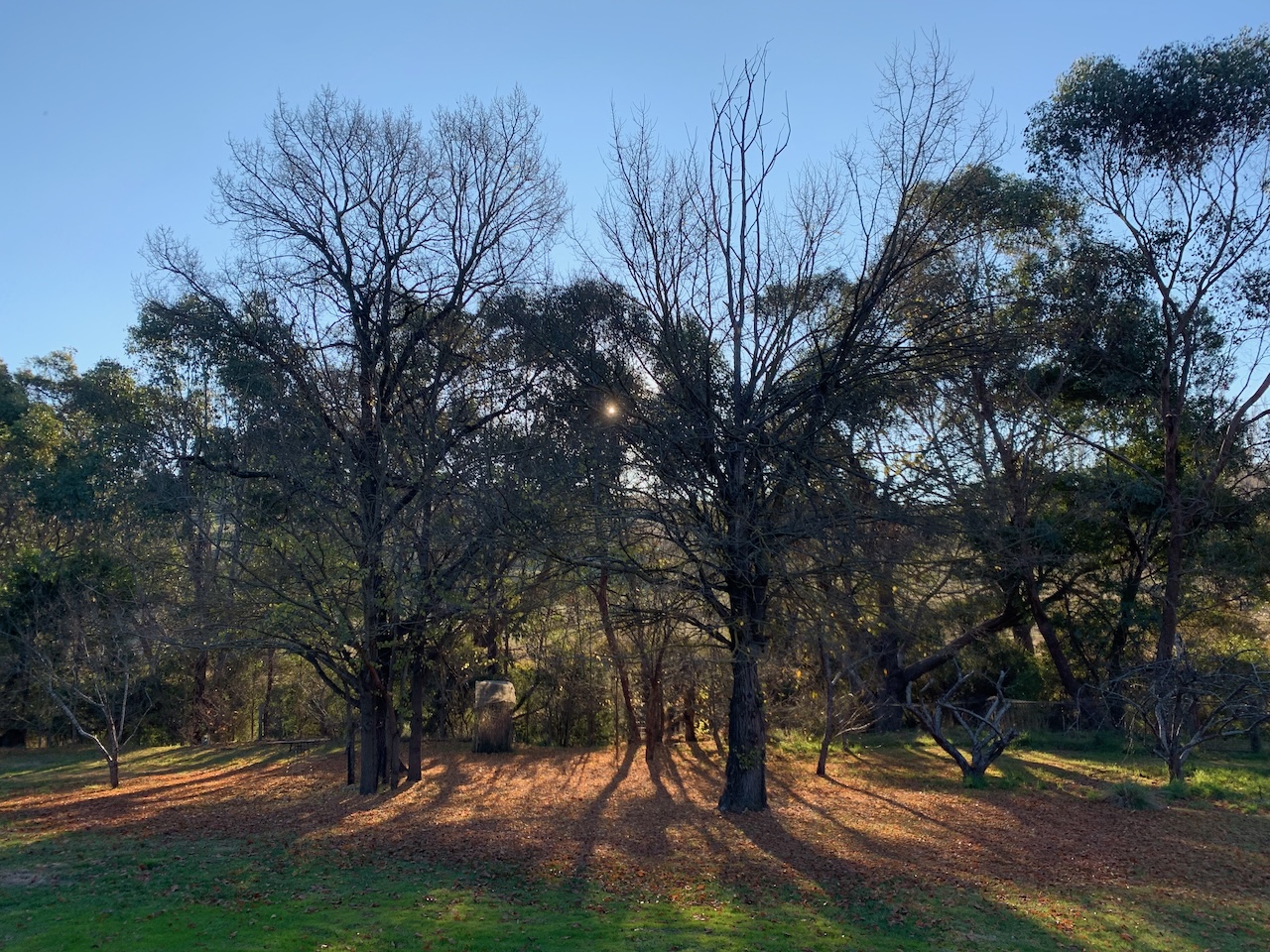 Autumn | poetography.ink