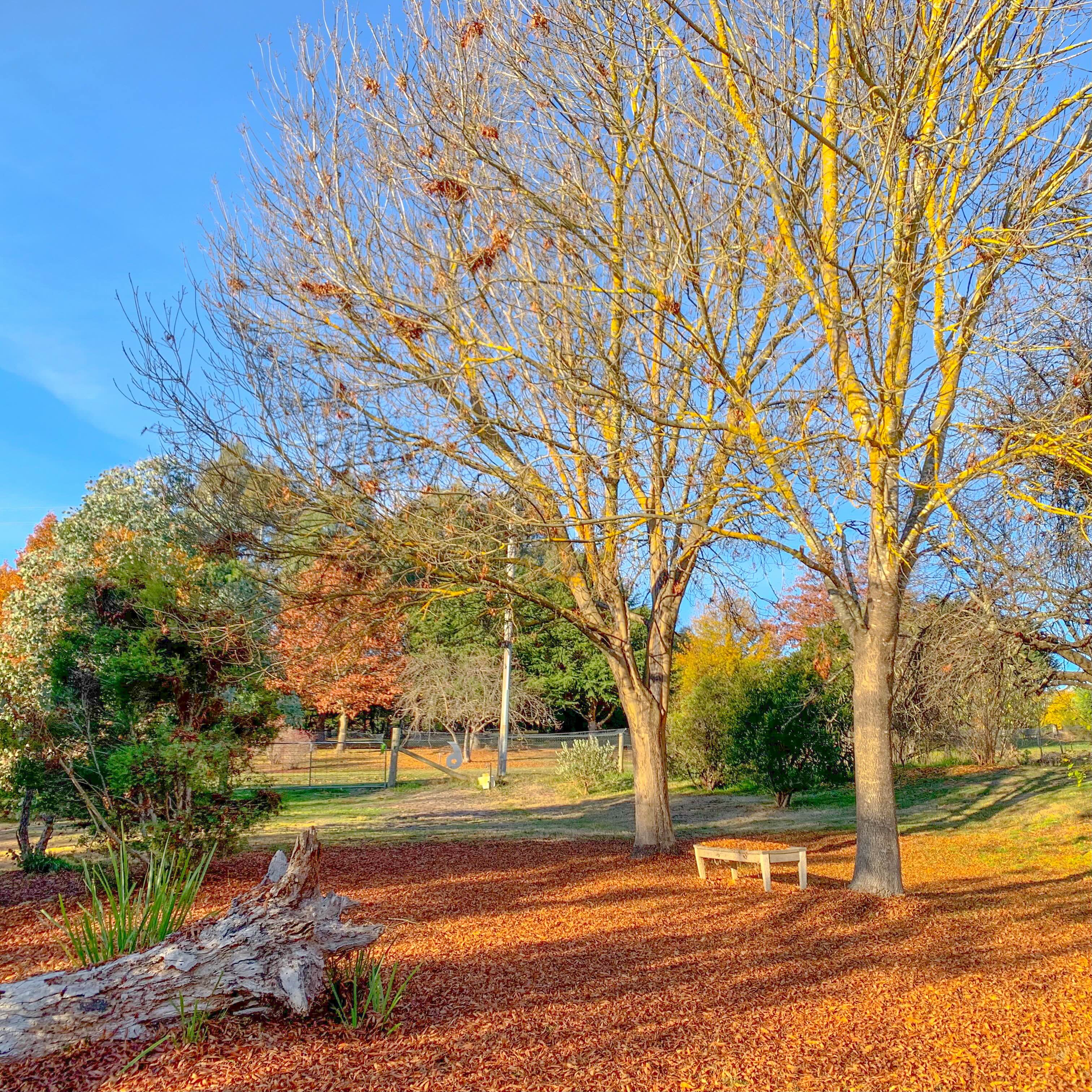 Bogie autumn | poetography.ink