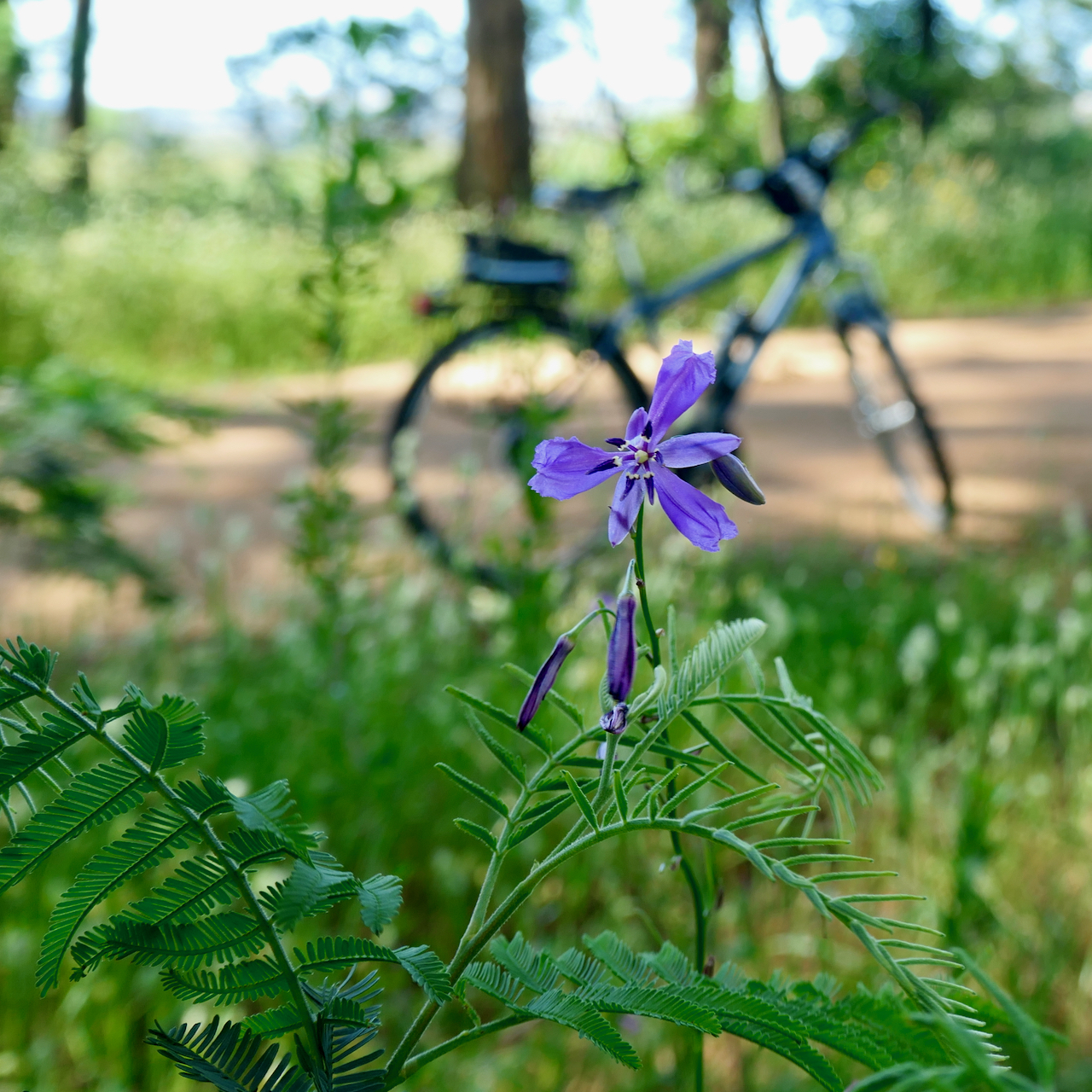 Cycle of life | poetography.ink