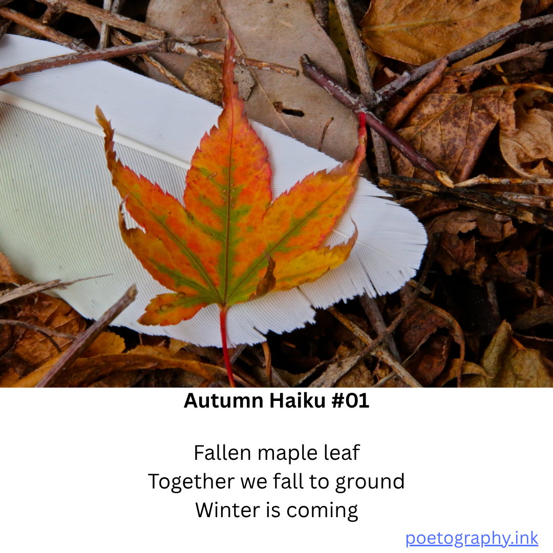 Autumn Haiku #01 (revisited) | poetography.ink