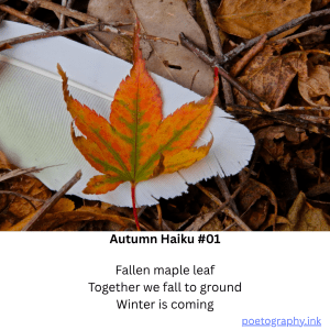 Autumn Haiku #01 (revisited) | poetography.ink